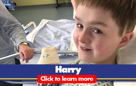 Harry - The Gavin Glynn Foundation