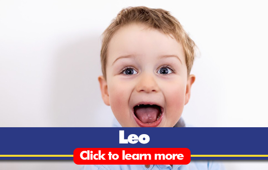 Leo - The Gavin Glynn Foundation