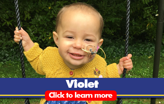 Violet - The Gavin Glynn Foundation